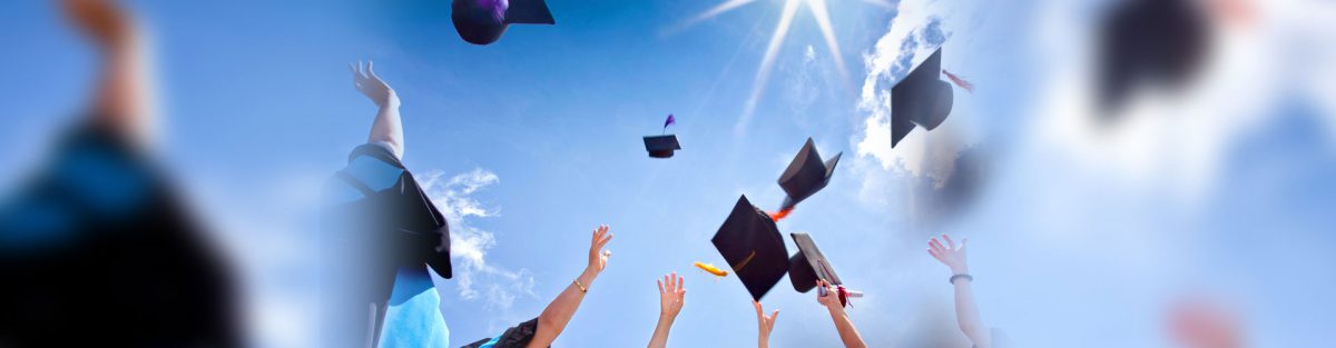 Results | Genesis Tutorials